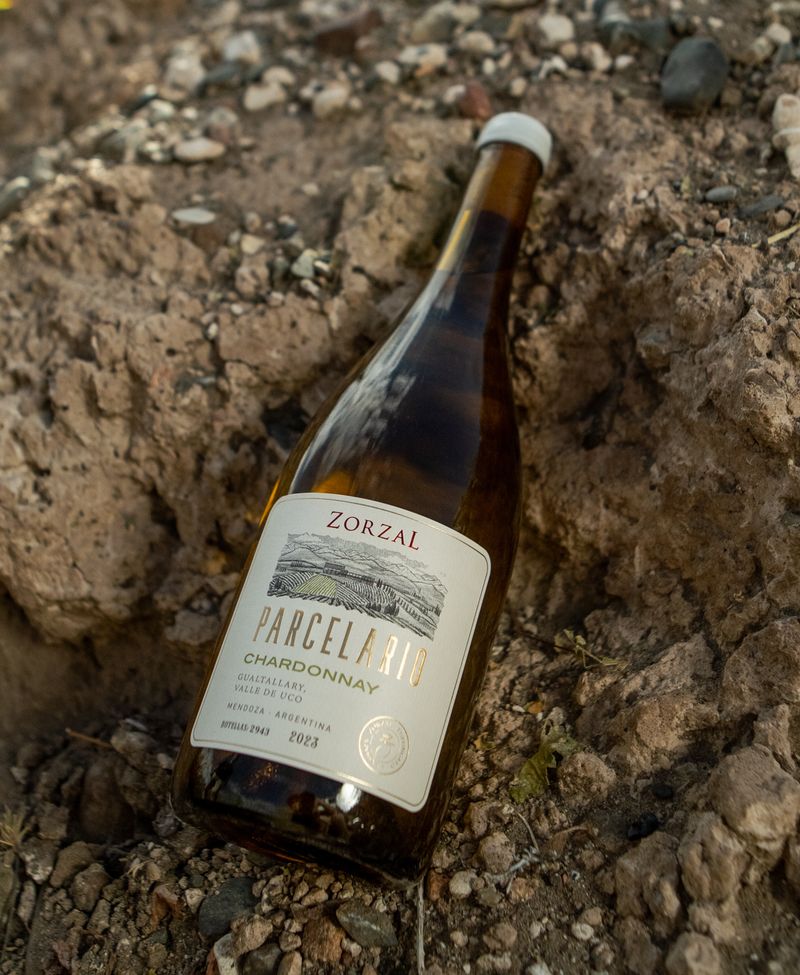 Parcelario Chardonnay: Wines that Leave a Mark | Zorzal Wines