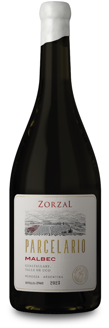 Our Wines | Zorzal Wines